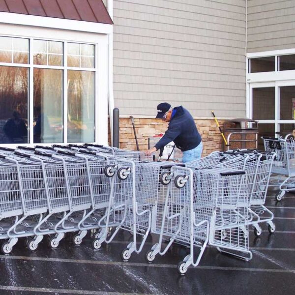6 Common Shopping Cart Maintenance Problems - 10+ years China ...